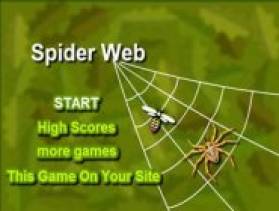 Spider Web - Free game at Playhub.com