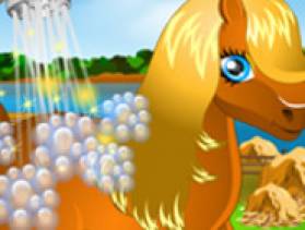 Pony Cleaning - Free game at Playpink.com