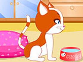 Cute Kitten Daycare - Free game at Playpink.com